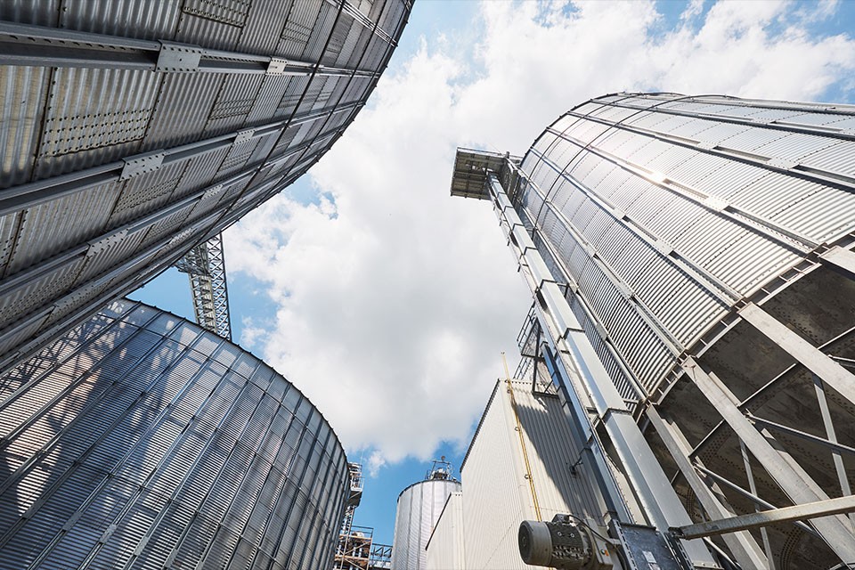 Home | Food, Feed, Bio-Industry Leader | Arena Agro Andalan